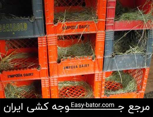 آموزش طراحی و ساخت آشیانه طیور