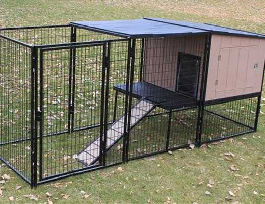 آموزش ساخت لانه برای مرغ در حیاط خانه یا باغچه