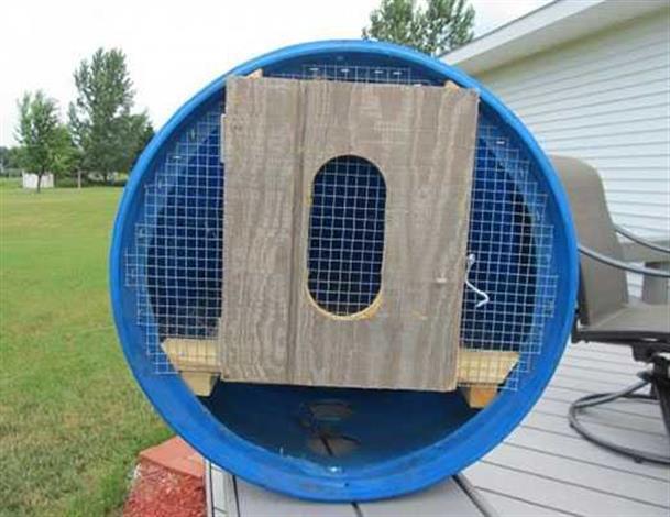 آموزش ساخت لانه برای مرغ در حیاط خانه یا باغچه